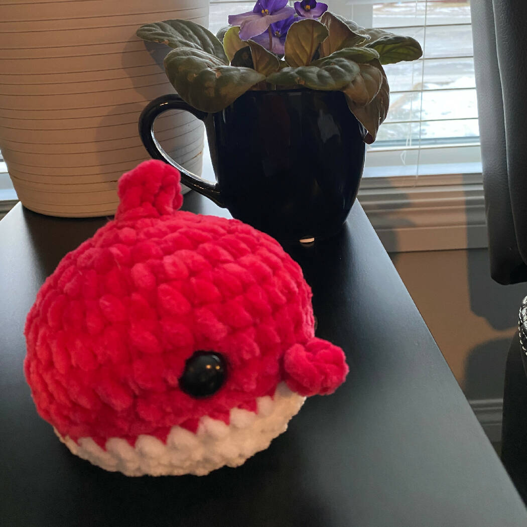 Papa Shark – HandmadeSask